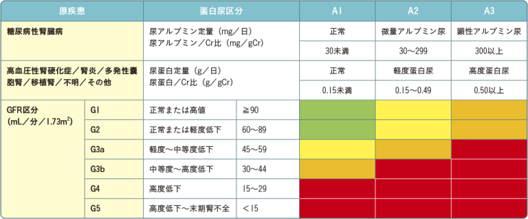 ｢慢性腎不全（CKD）」の知識・注意点・最新情報【訪問看護師の疾患学び直し】 - NsPace（ナースペース）-家で「看る」あなたを支える
